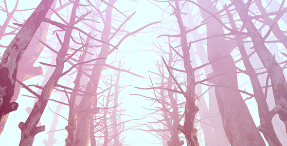 Old Forest, Motion Graphics | VideoHive