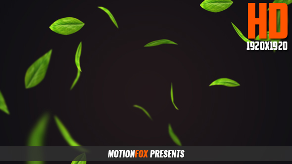 Falling Leaf HD, Motion Graphics | VideoHive