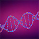 DNA, Motion Graphics | VideoHive