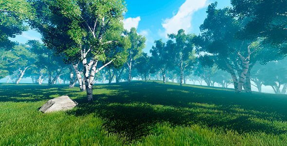 Movement Through The Forest From Deciduous Plants, Motion Graphics