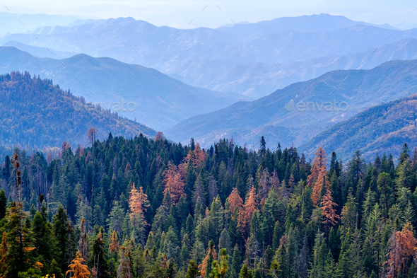 Sequoia National Park mountain landscape at autumn Stock Photo by haveseen