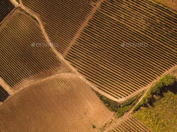 Countryside landscape as abstrat background Stock Photo by stevanovicigor