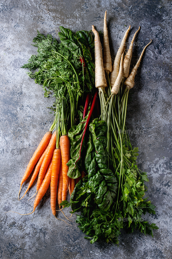 Bundle of fresh carrot and parsnip Stock Photo by NatashaBreen | PhotoDune