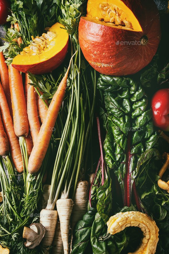 Variety of autumn harvest vegetables Stock Photo by NatashaBreen ...