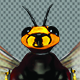 Bee Bottom View, Motion Graphics | VideoHive
