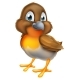 Robin Bird Cartoon Character, Vectors | GraphicRiver