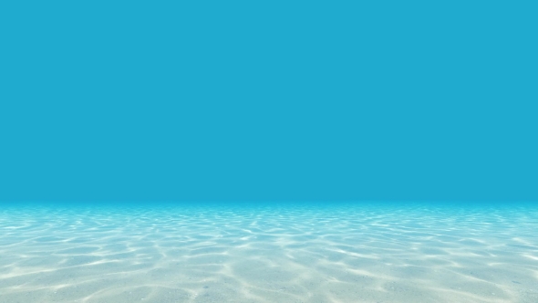 Ocean Floor, Motion Graphics | VideoHive