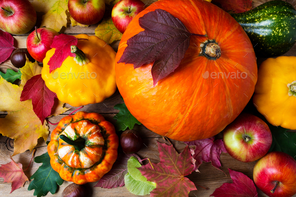 Red apples, pumpkins and colorful fall leaves, top view Stock Photo by ...