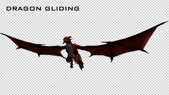 Red Dragon - Glide Animation., Motion Graphics | VideoHive