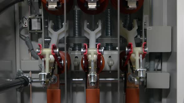 Electronic Plant Machine with Straightening Up Springs, Stock Footage
