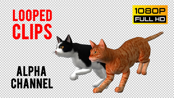 Cat Looped 4, Motion Graphics | VideoHive