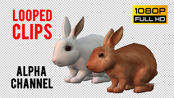 Rabbits Looped 2, Motion Graphics | VideoHive