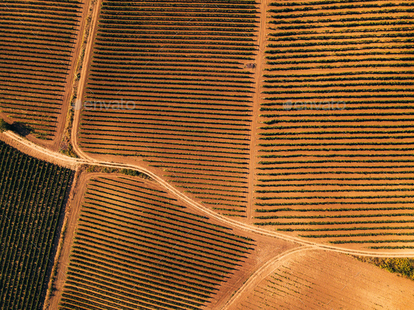 Countryside landscape as abstrat background Stock Photo by stevanovicigor