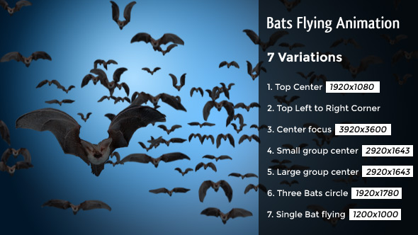 Bats Flying Animation – 7 Clips, Motion Graphics | VideoHive
