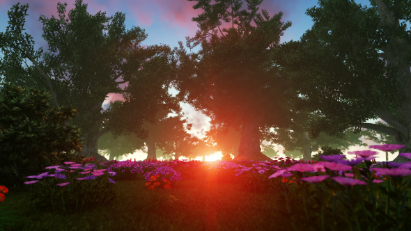 Jungle, Motion Graphics | VideoHive