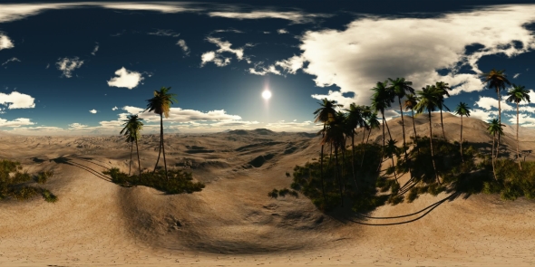 VR 360 Degree Aerial Panorama of Palms in Desert, Motion Graphics ...