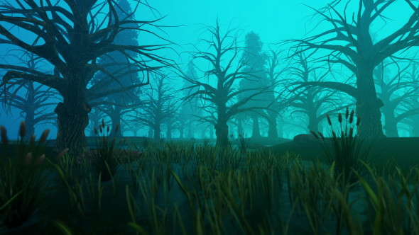 Futuristic Jungle, Motion Graphics | VideoHive