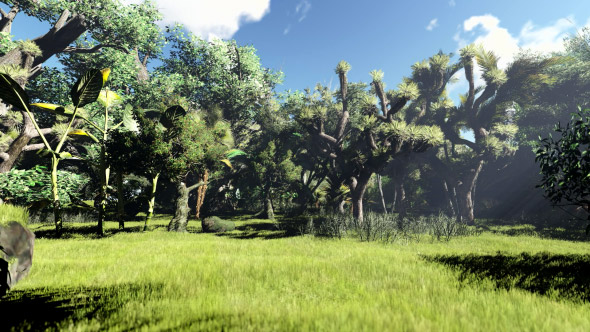 Tropical Forest Zoom Out, Motion Graphics | VideoHive