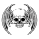 Evil Winged Skull, Vectors | GraphicRiver