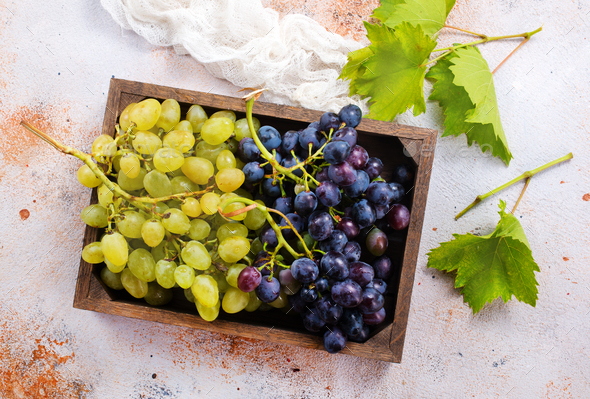 grape Stock Photo by tycoon101 | PhotoDune