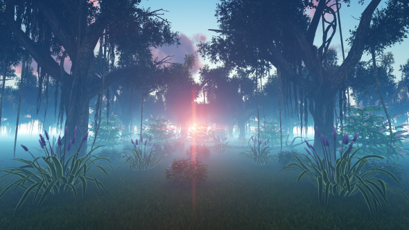 Fantastic Jungle, Motion Graphics | VideoHive