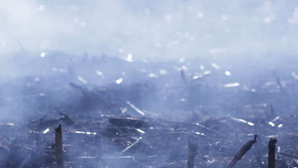 Nature Damage Ecological Environmental Destruction, Stock Footage ...