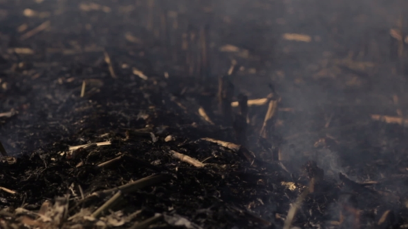 Nature Damage Ecological Environmental Destruction, Stock Footage ...