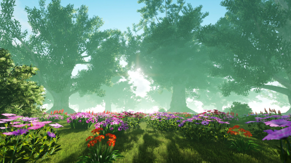 Jungle In Fog, Motion Graphics | VideoHive