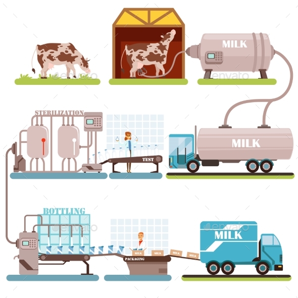 Production of Milk Set, Milk Industry Cartoon by Top_Vectors | GraphicRiver
