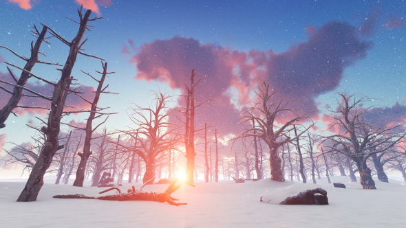 Beautiful Winter Landscape, Motion Graphics | VideoHive