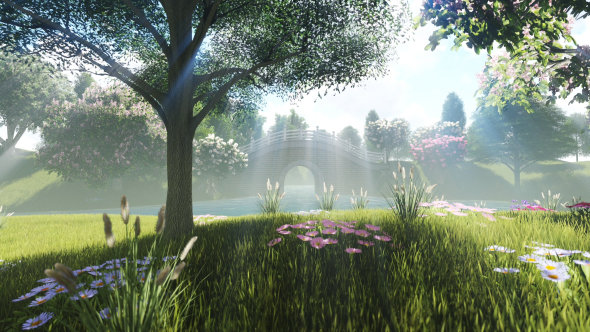 Fabulous Nature, Motion Graphics | VideoHive