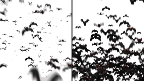 Bats Transitions 2 Styles, Motion Graphics | VideoHive