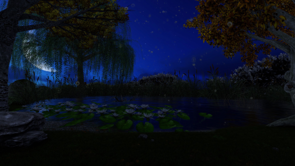 Beautiful Fabulous Lake at Night, Motion Graphics | VideoHive