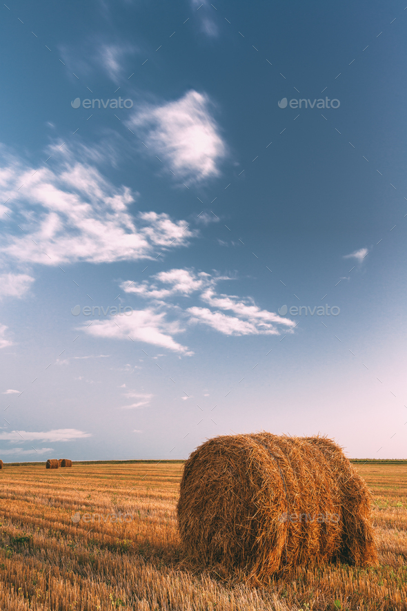 Rural Landscape Field Meadow With Hay Bales After Harvest In Sun Stock ...