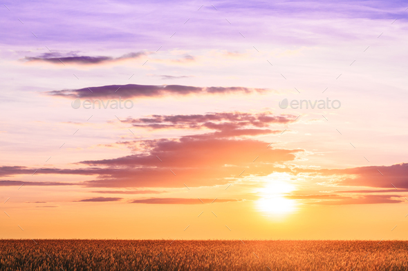 Sunset Sunrise Over Field Or Meadow. Bright Dramatic Sky Over Gr Stock ...