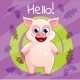Vector Illustration of Cartoon Pig. Hello., Vectors | GraphicRiver