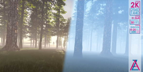 Running Through the Forest, Motion Graphics | VideoHive