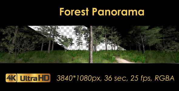 Forest 3D Panoramic Animation, Motion Graphics | VideoHive