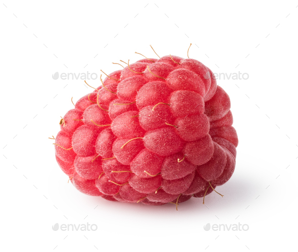 raspberry Stock Photo by gresei | PhotoDune