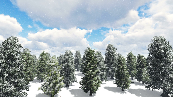 Winter Forest, Motion Graphics | VideoHive