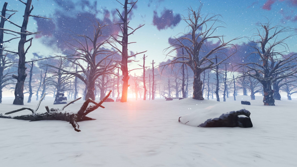 Frozen Forest with Snow, Motion Graphics | VideoHive