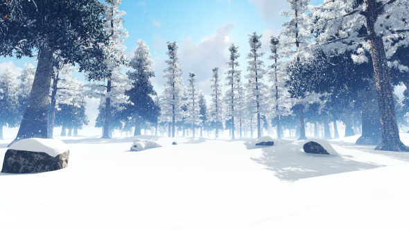 Beautiful Snowy Jungle, Motion Graphics | VideoHive