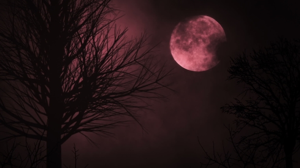 Spooky Blood Red Moon Light Night Sky, Motion Graphics | VideoHive