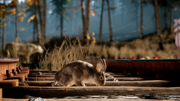 The Forest Life, Motion Graphics | VideoHive