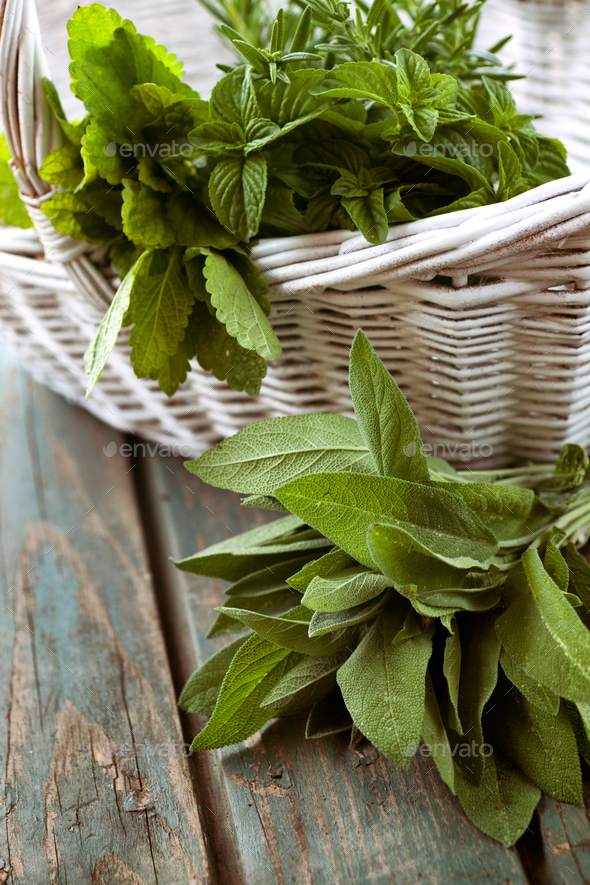 Herbs Stock Photo by mythja | PhotoDune