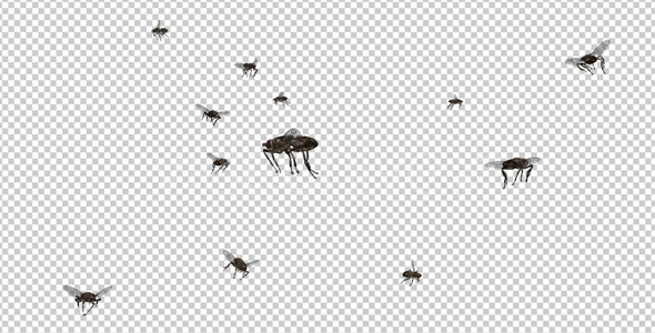 Swarm Flies - 4K, Motion Graphics | VideoHive