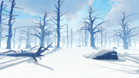 Winter, Motion Graphics | VideoHive