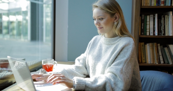 Woman Using Laptop in Front Window, Stock Footage | VideoHive