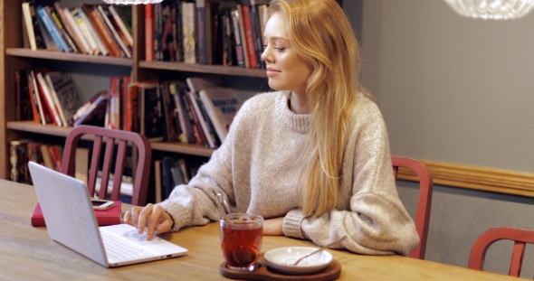 Pretty Woman Using Laptop in Library, Stock Footage | VideoHive