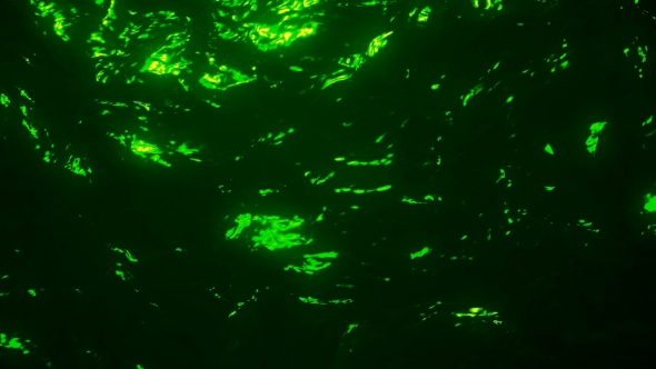 Toxic Water Background Pack, Motion Graphics | VideoHive